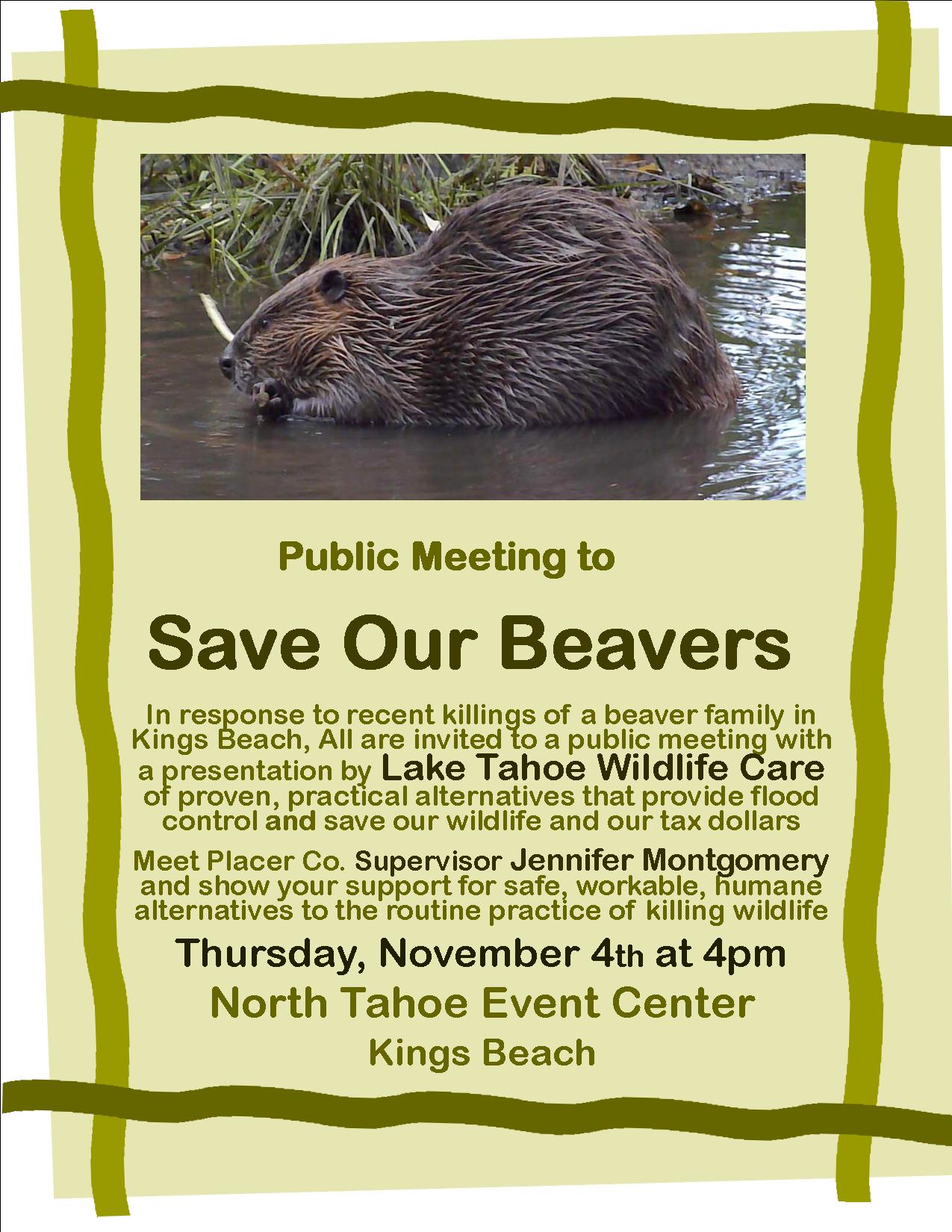 Kings Beach Beavers: Worth A Dam – Worth A Dam