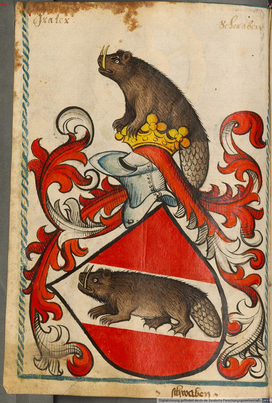 Beaver Heraldry – Worth A Dam