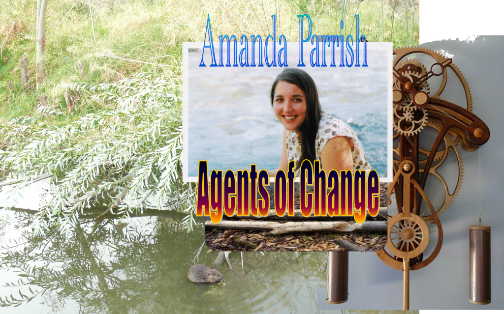 Agents of Change: Amanda Parrish – Worth A Dam