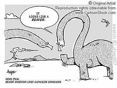 Beavers Rule – Dinosaurs Drool – Worth A Dam