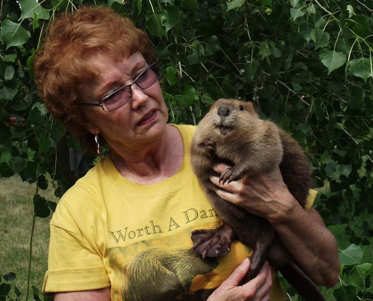 Beaver Lessons from YK – Worth A Dam