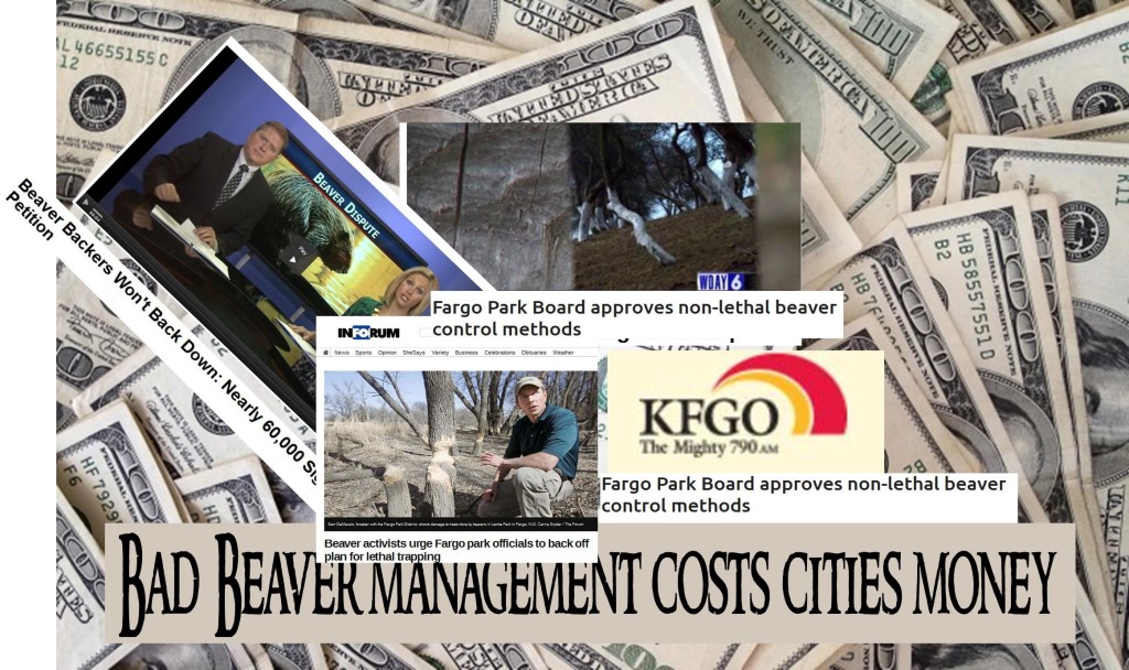 Fargo’s valuable cargo – Worth A Dam