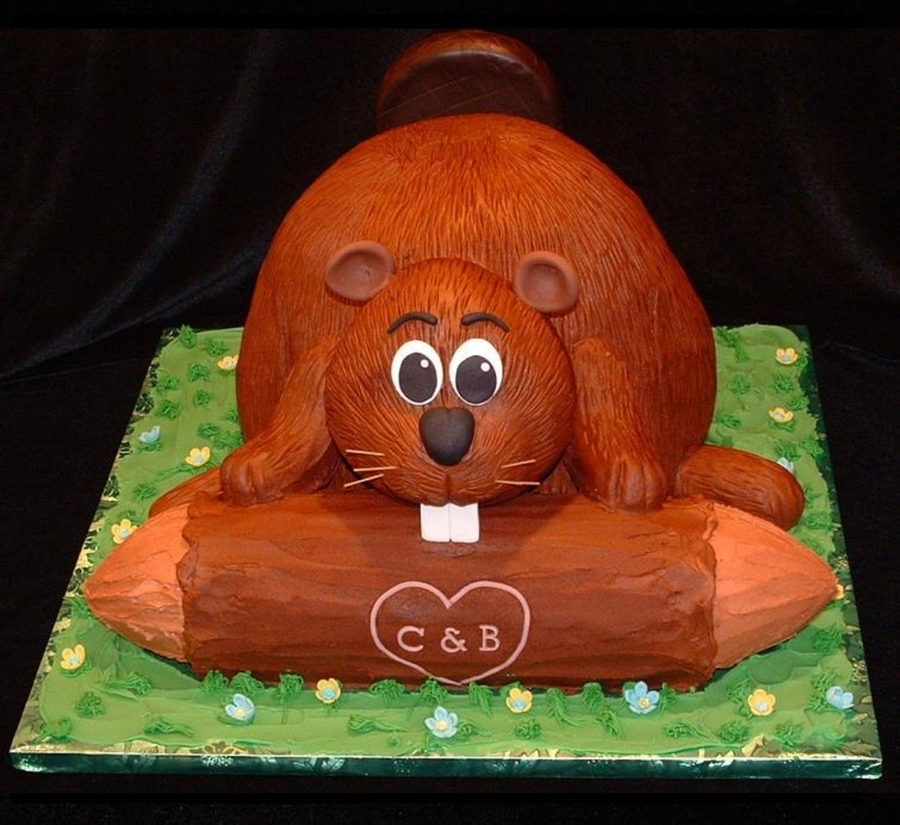 BEAVER STORIES THAT MAKE US SMILE – Worth A Dam