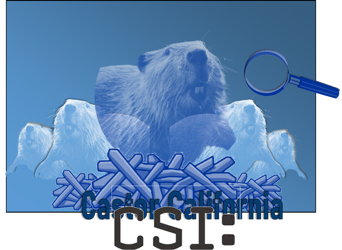 CASTOR CALIFORNIA CSI: – Worth A Dam