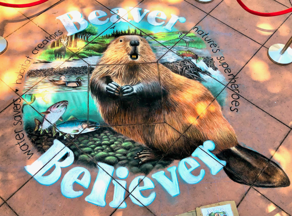 BEAVER FESTIVAL 2022 – Worth A Dam