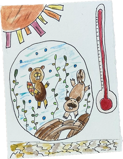 “THE STREAMS ARE TOO DAM HOT” – Worth A Dam