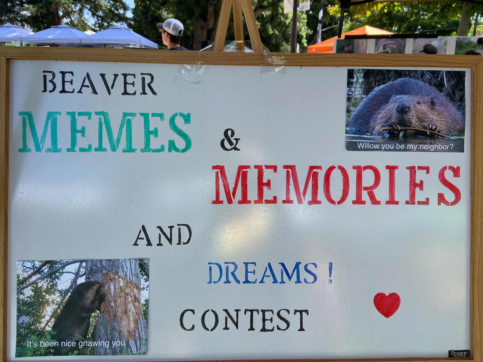 BEAVER FESTIVAL XIV – Worth A Dam