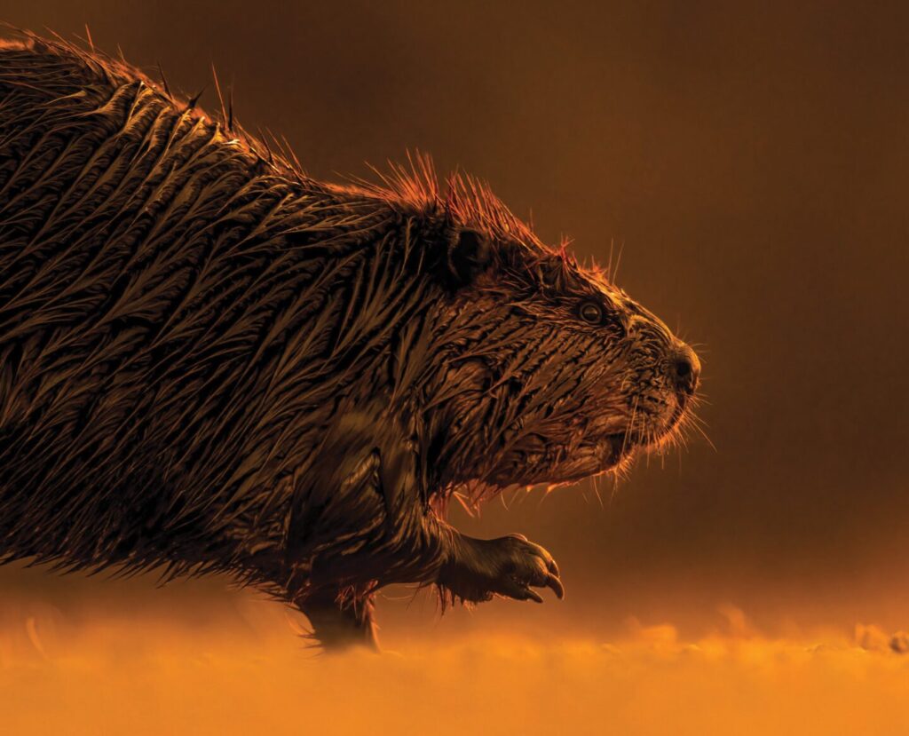 Worth A Dam – The Martinez Beavers