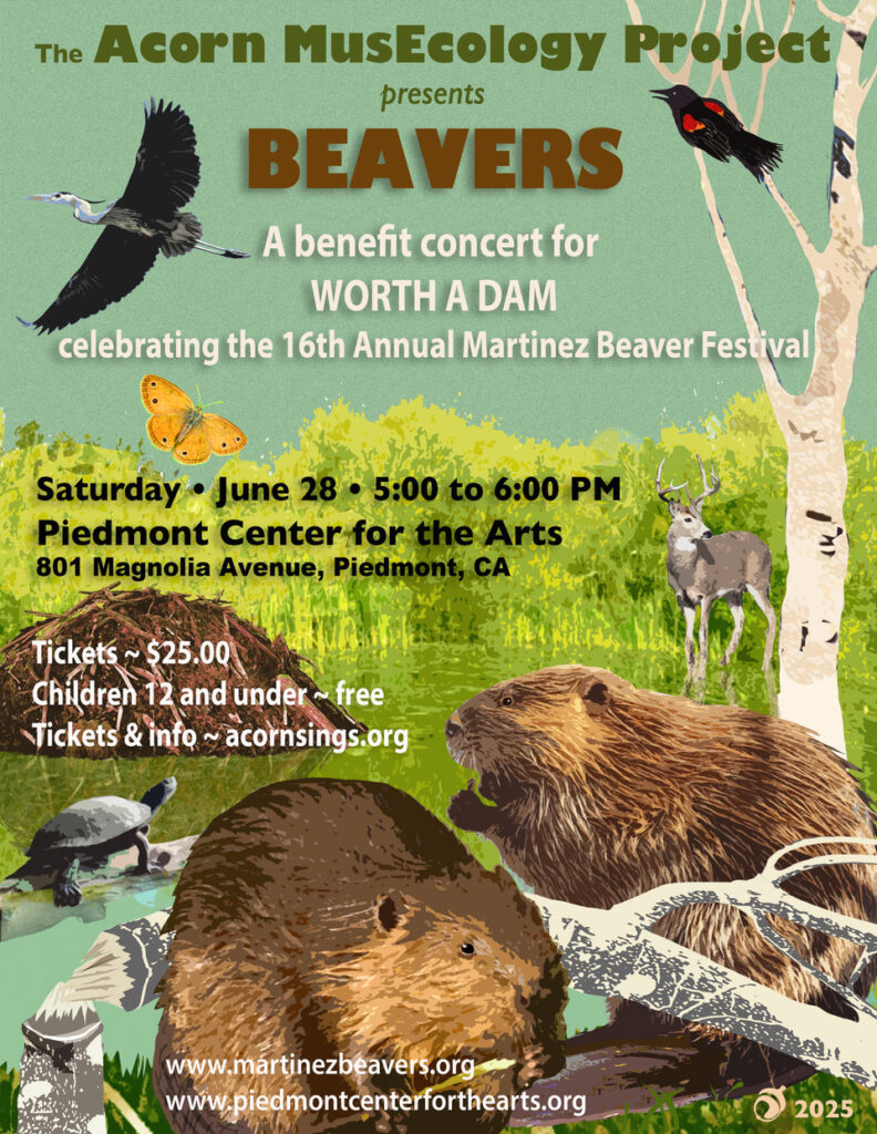 WHAT TO DO AFTER A BEAVER FESTIVAL… – Worth A Dam